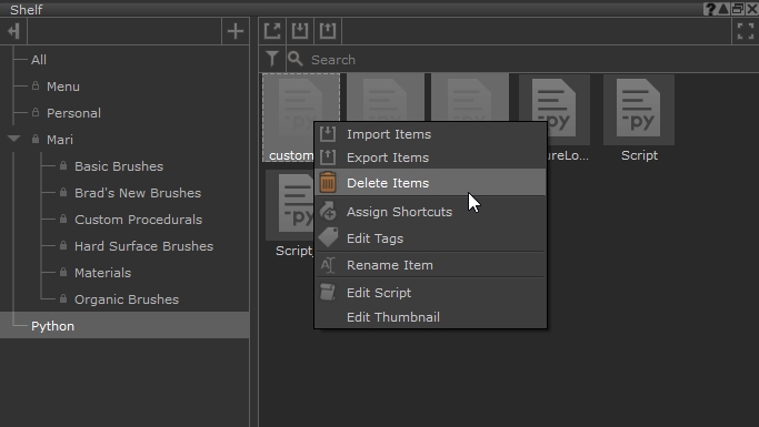 Run Custom Python Scripts Directly from Shelves