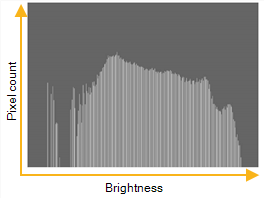 Histogram